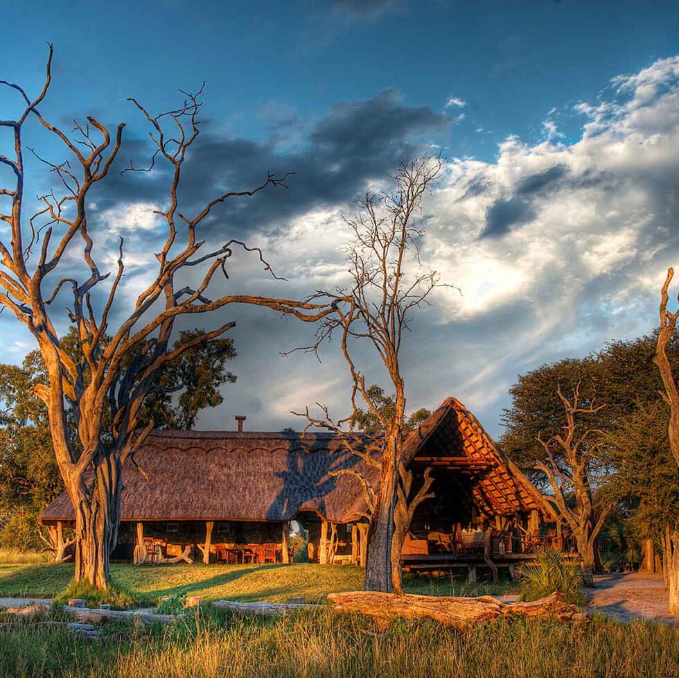 Home - Imvelo Safari Lodges