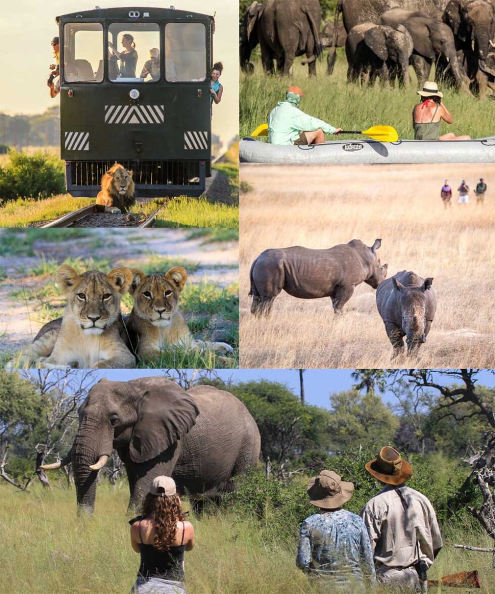 Bomani Tented Lodge - Imvelo Safari Lodges