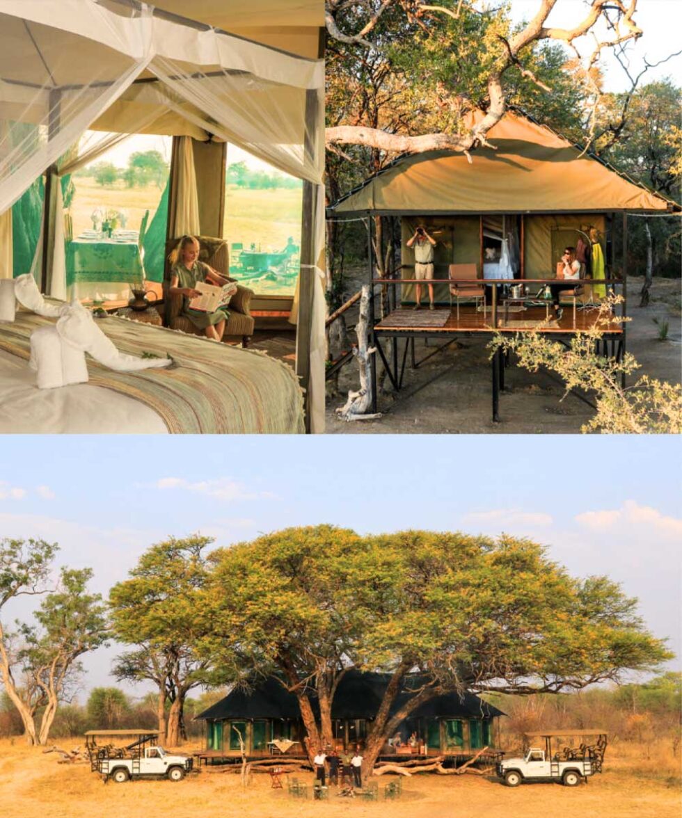 Bomani Tented Lodge - Imvelo Safari Lodges