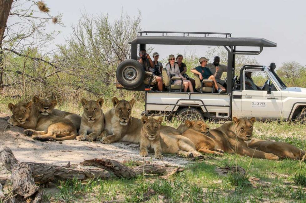 Nehimba Lodge - Imvelo Safari Lodges